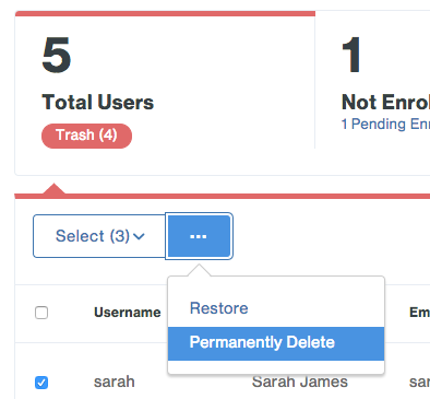 How do I bulk delete Duo users?