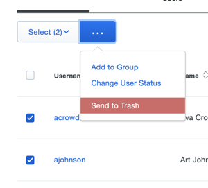 How do I permanently delete Duo users in bulk or individually?
