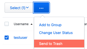How do I permanently delete Duo users in bulk or individually?