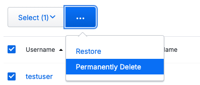 How do I permanently delete Duo users in bulk or individually?