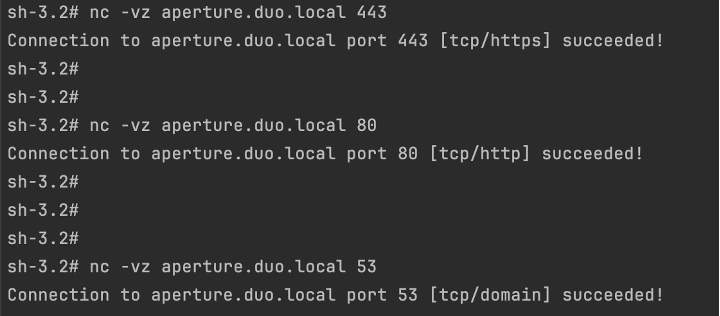 Guide to troubleshooting Duo Network Gateway (DNG) issues using ...